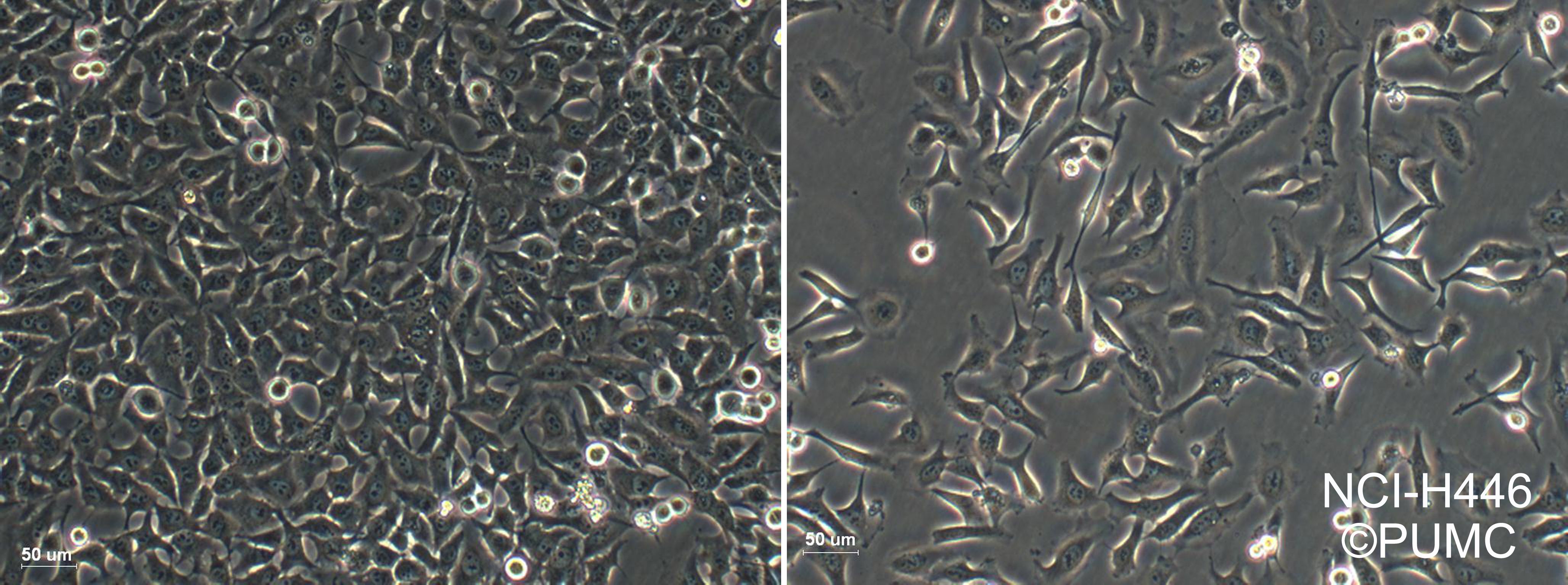 国家实验细胞资源共享平台